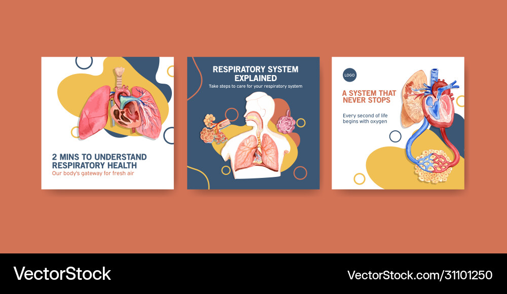 Template design ads with human anatomy lung Vector Image