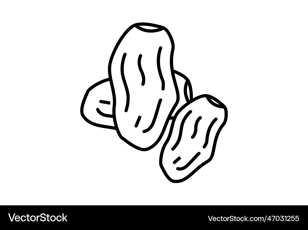 Dates fruits icon line style related Royalty Free Vector