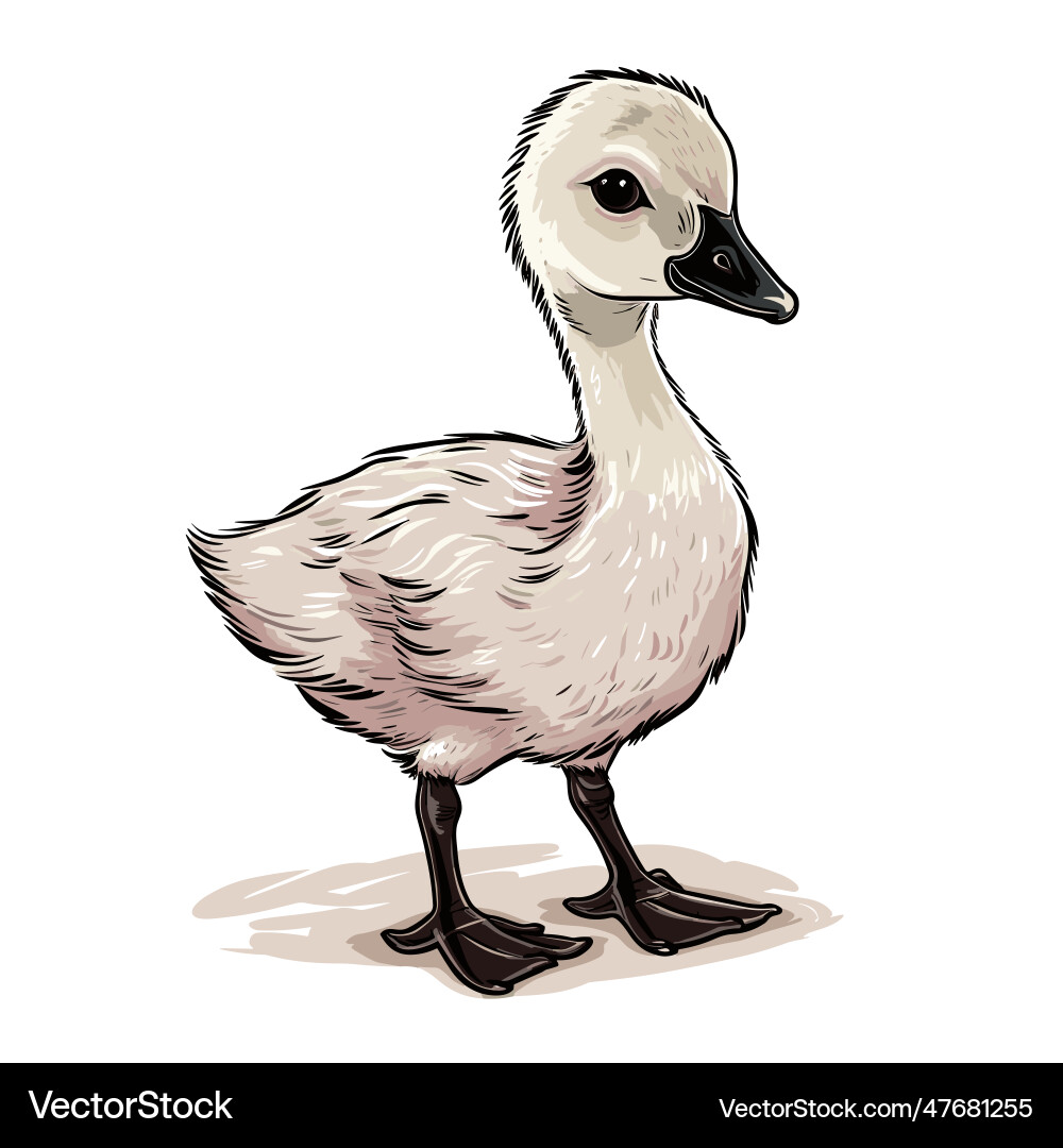Gosling hand-drawn doodle style cartoon Royalty Free Vector