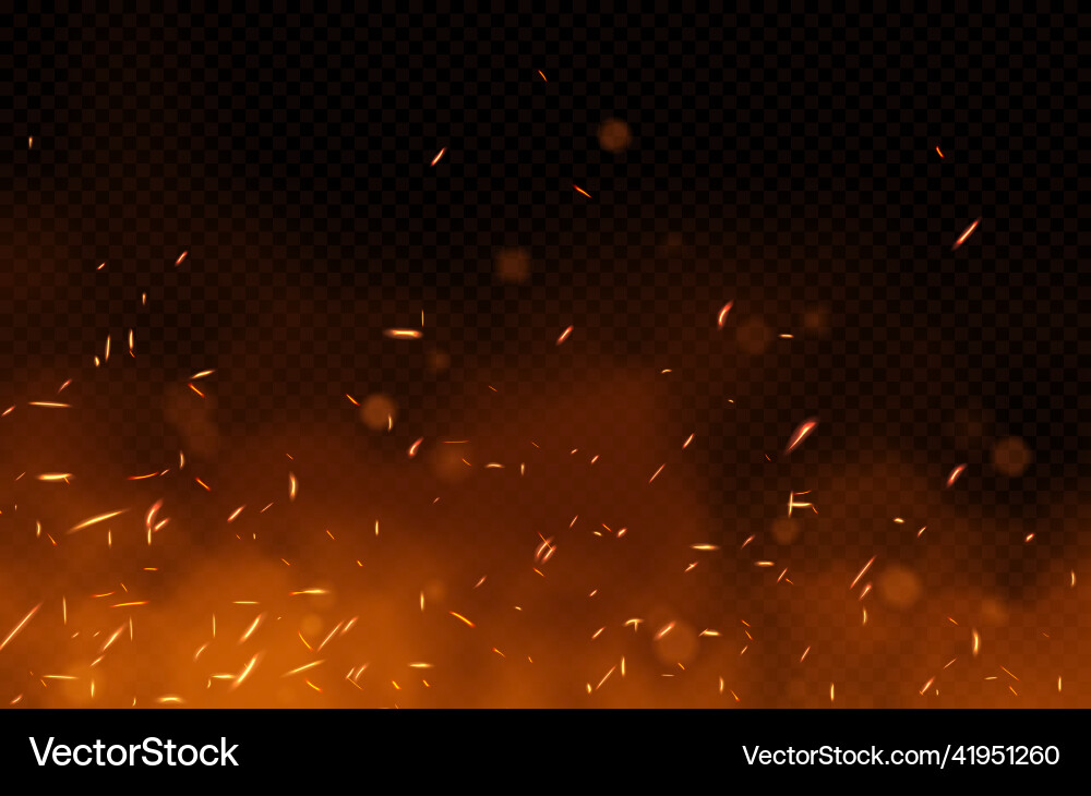 Flying fire sparks on transparent background Vector Image