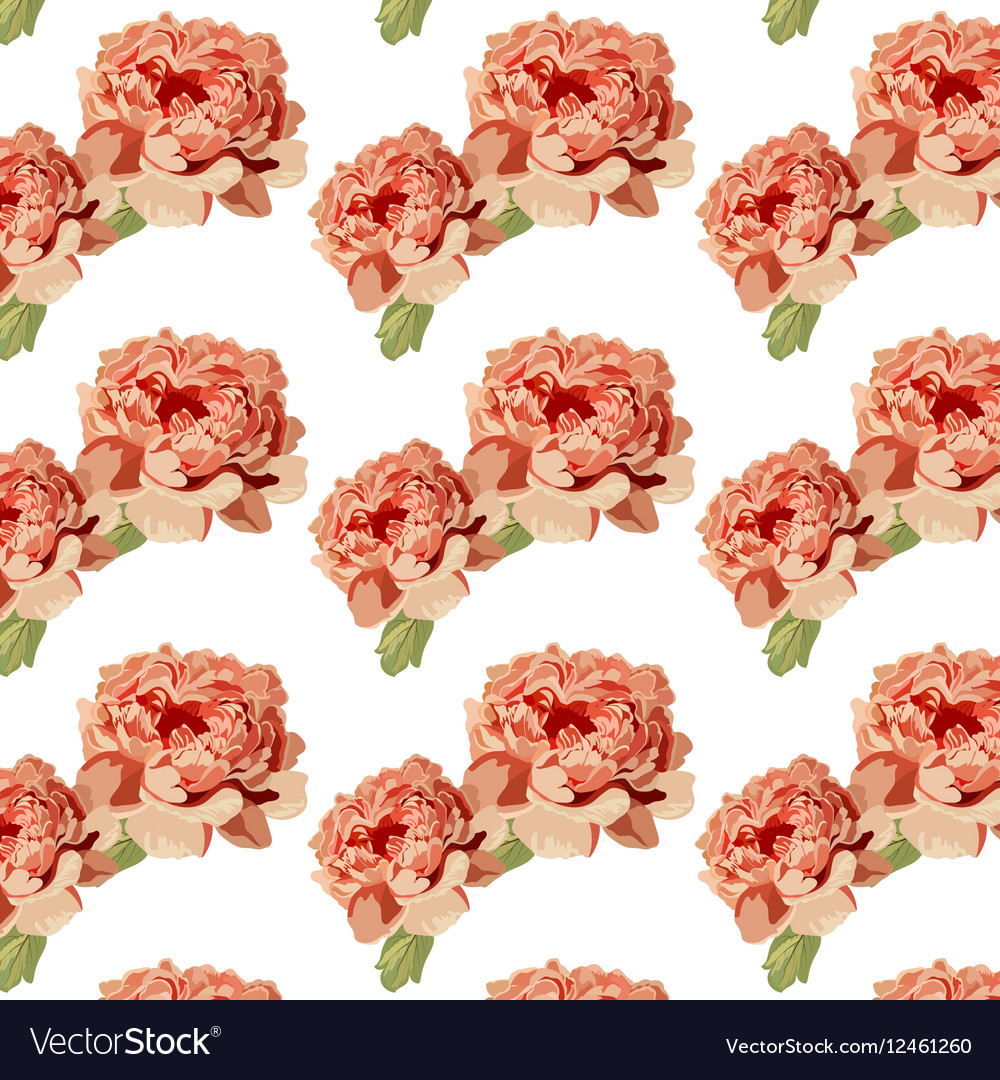 Peony pink flowers pattern Royalty Free Vector Image