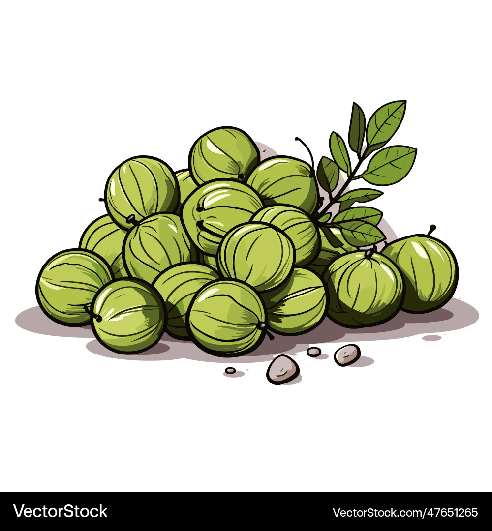 Amla hand-drawn doodle style cartoon Royalty Free Vector