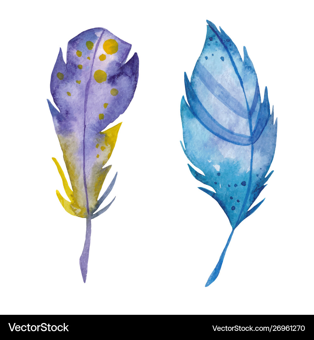 Hand painted watercolor feathers Royalty Free Vector Image
