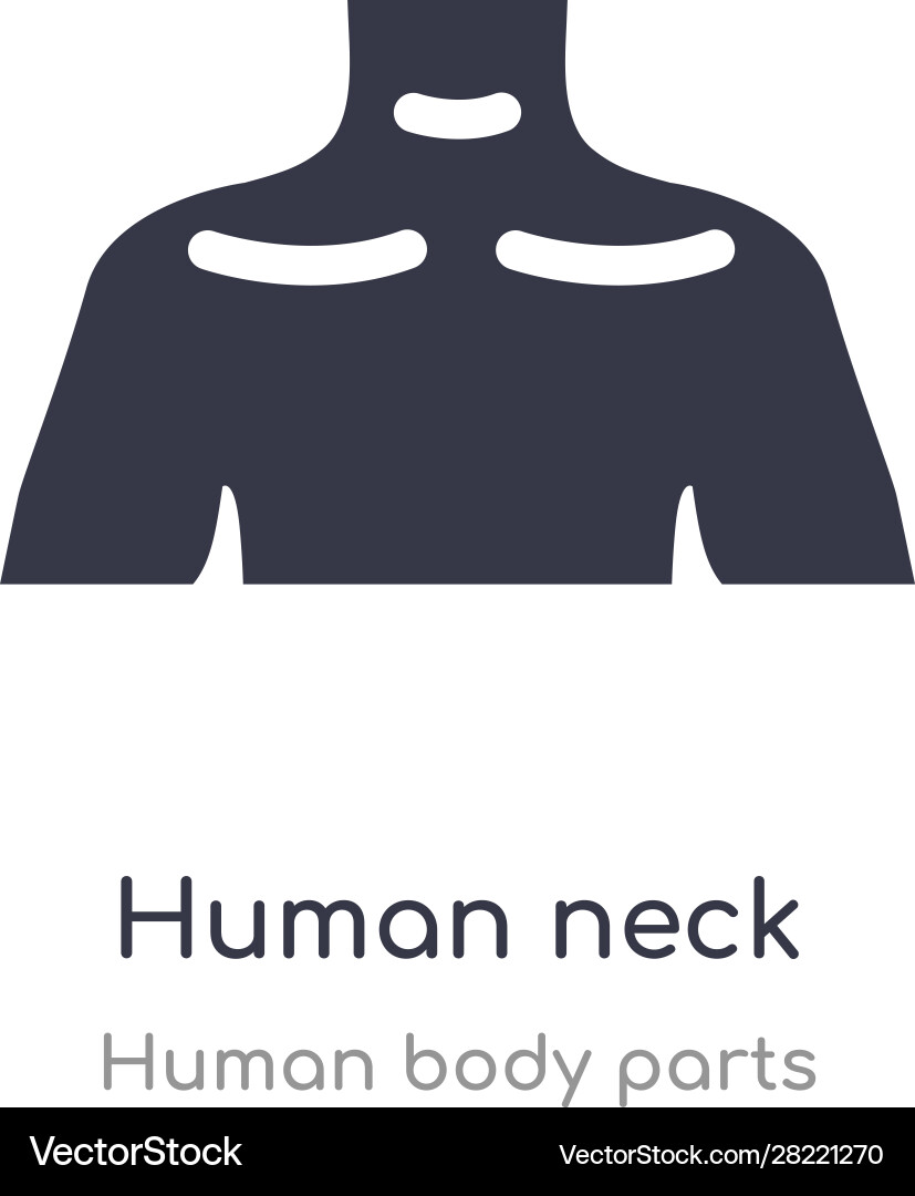Human neck outline icon isolated line from Vector Image