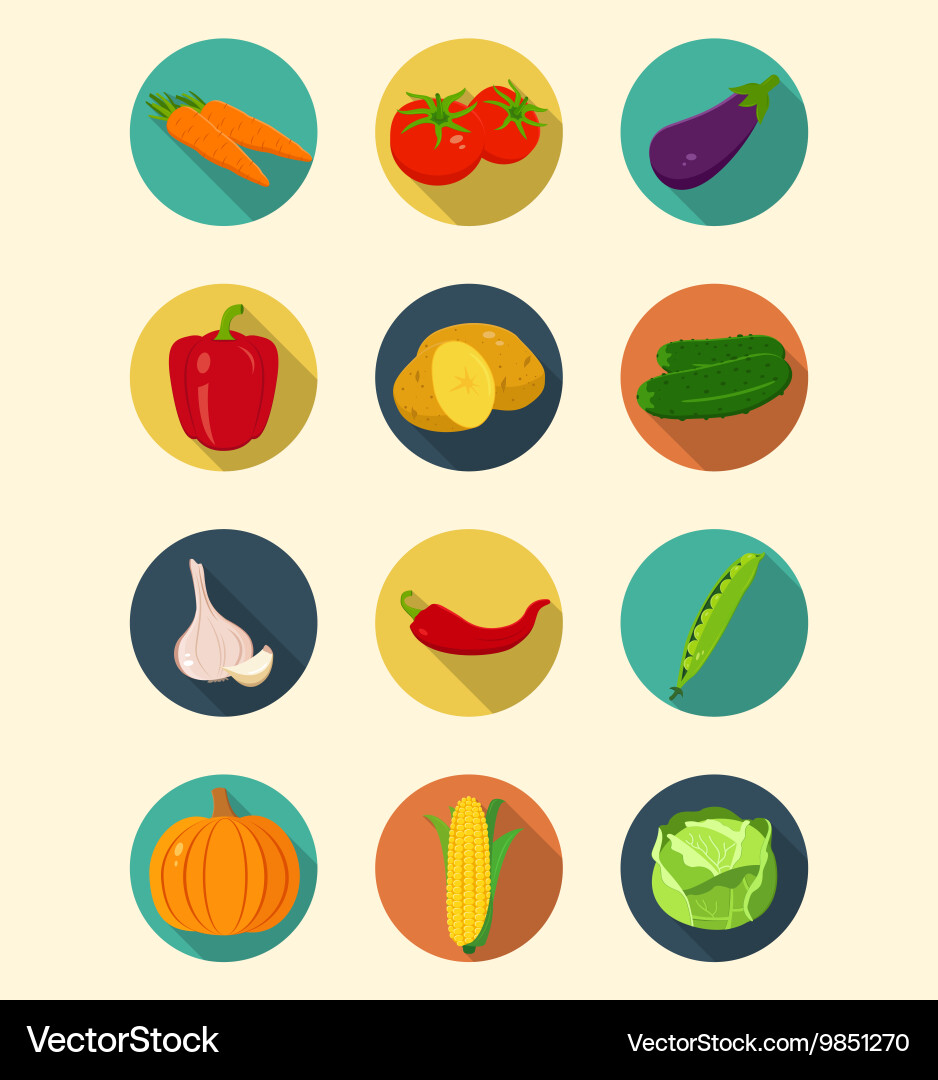 Vegetables icons set modern flat design healthy Vector Image