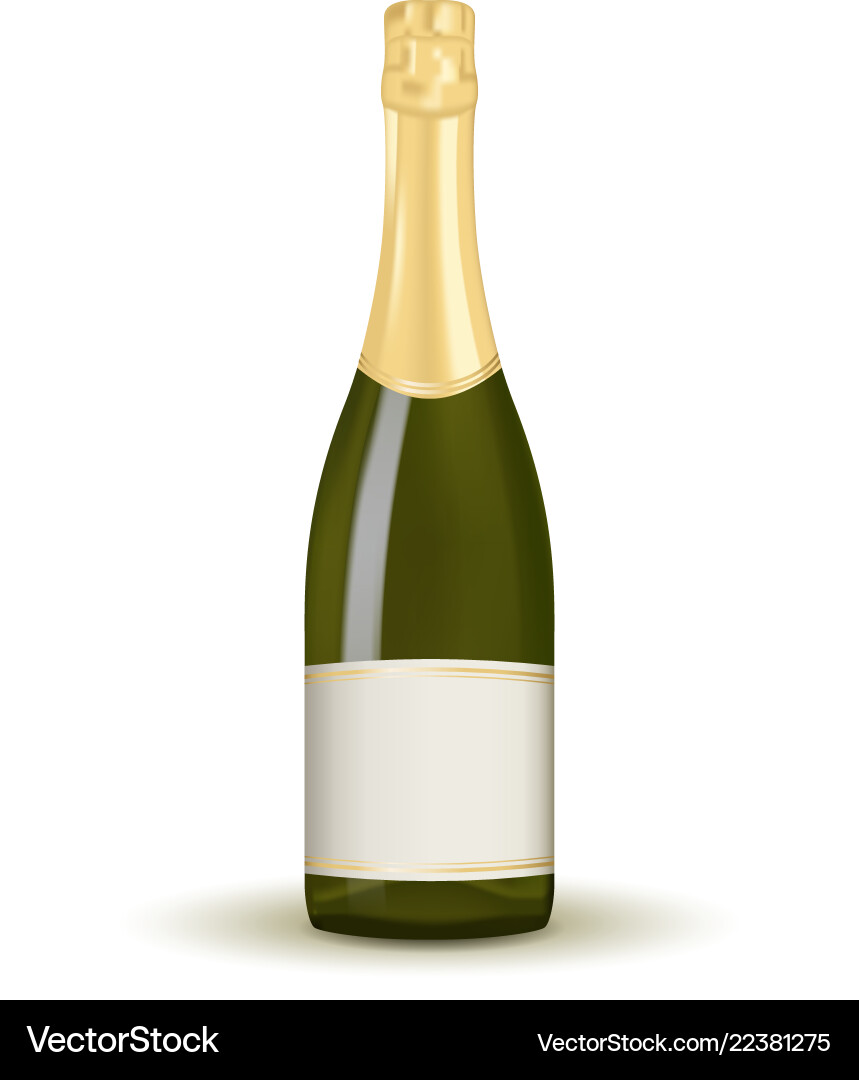Bottle of champagne Royalty Free Vector Image - VectorStock