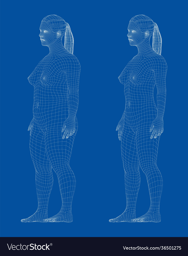 Fat And Slim Woman Before After Weight Loss Vector Image