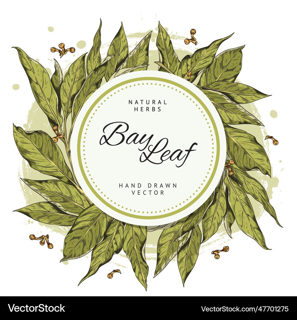 Hand drawn decorative round frame with bay leaves Vector Image