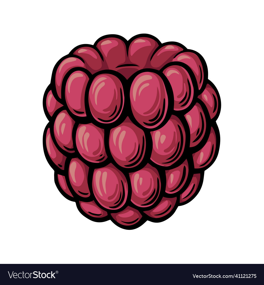 Raspberry icon Royalty Free Vector Image - VectorStock