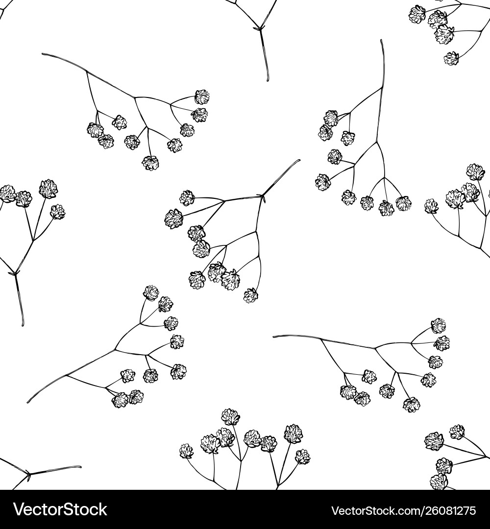 Seamless pattern with black and white gypsophila Vector Image