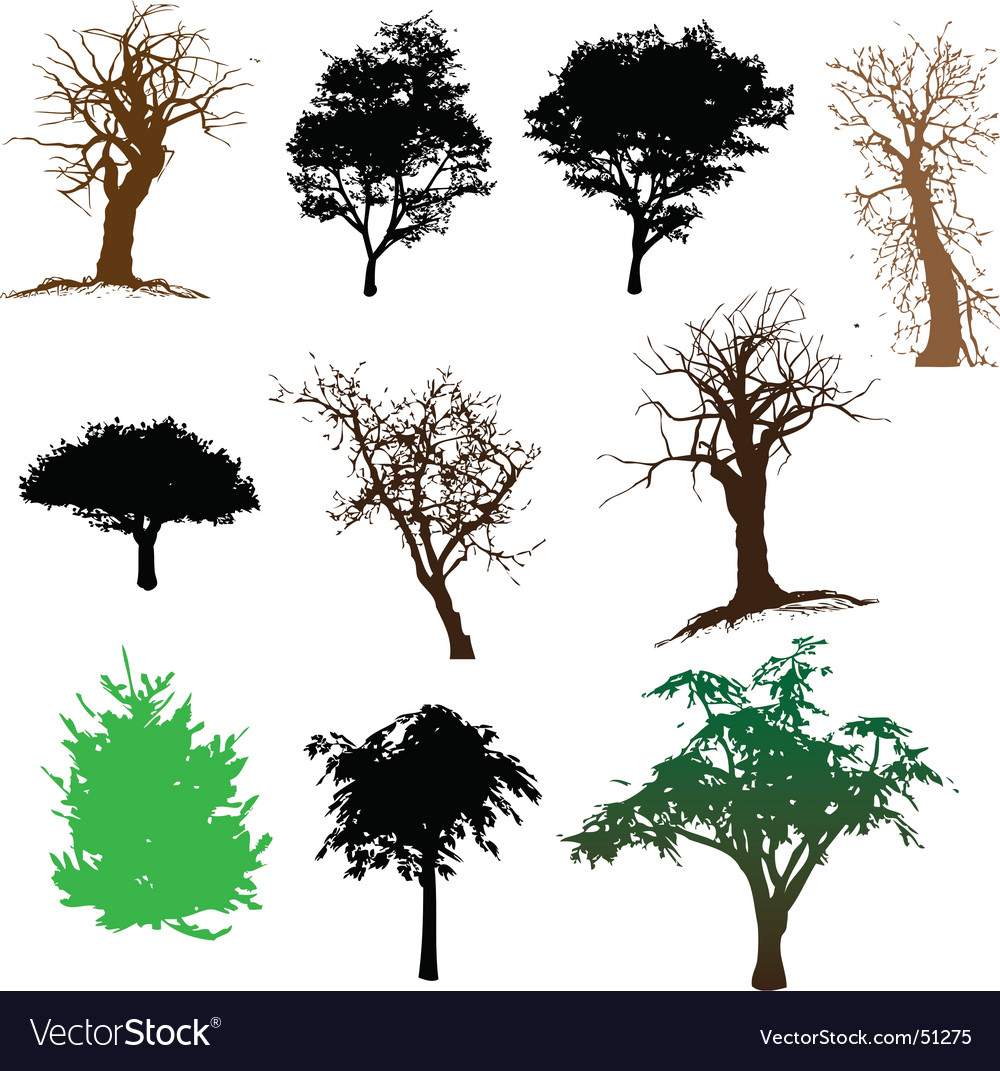 Trees Royalty Free Vector Image - VectorStock