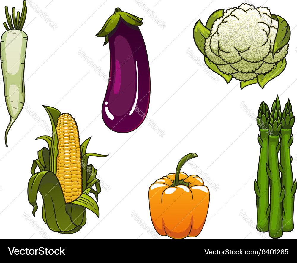 Fresh healthy isolated farm vegetables Royalty Free Vector