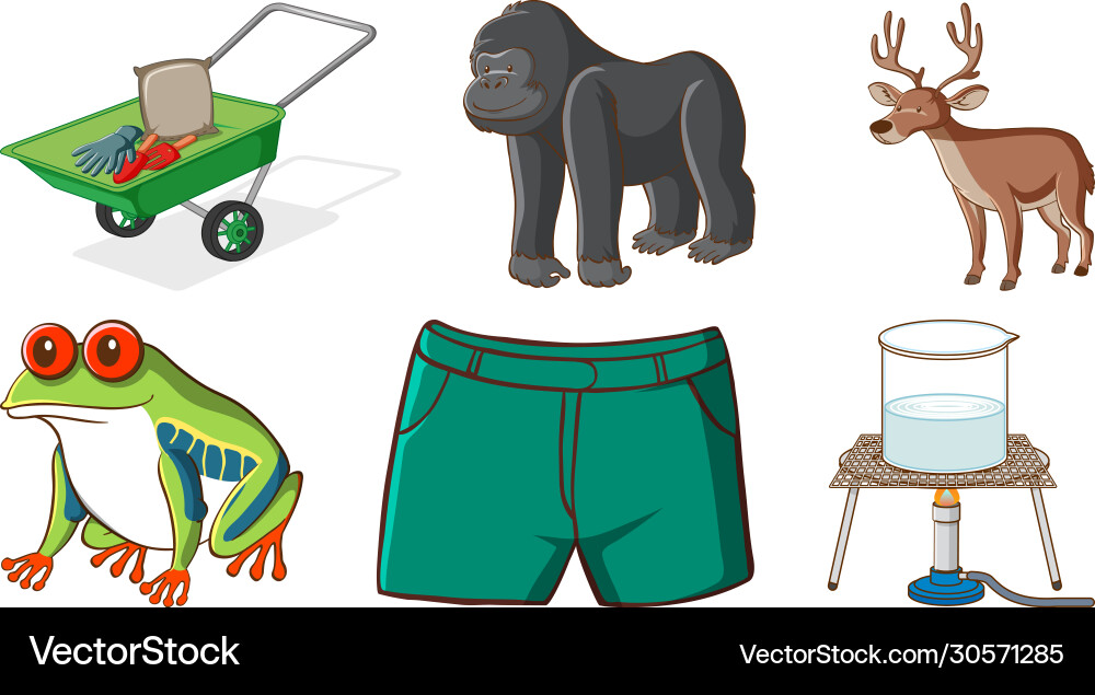 Large set different animals and other objects Vector Image