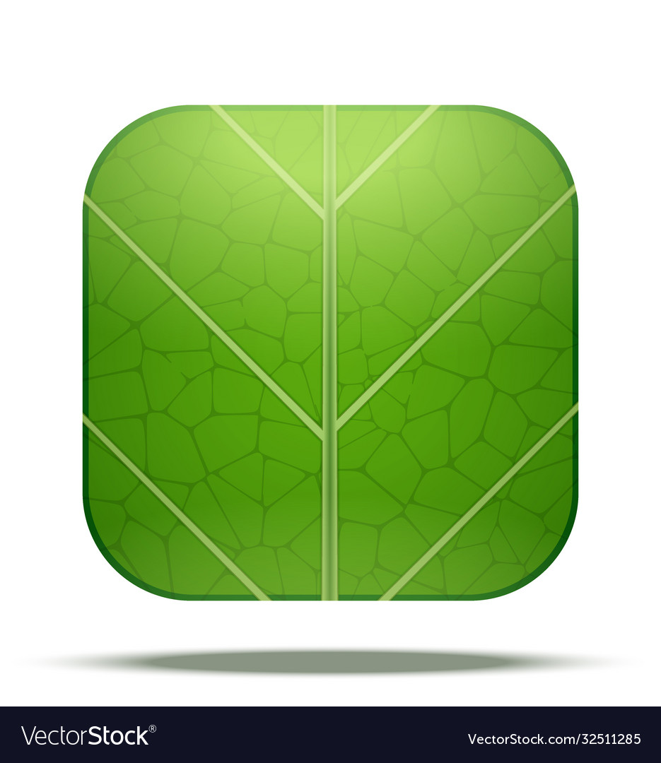 Leaf square icon Royalty Free Vector Image - VectorStock