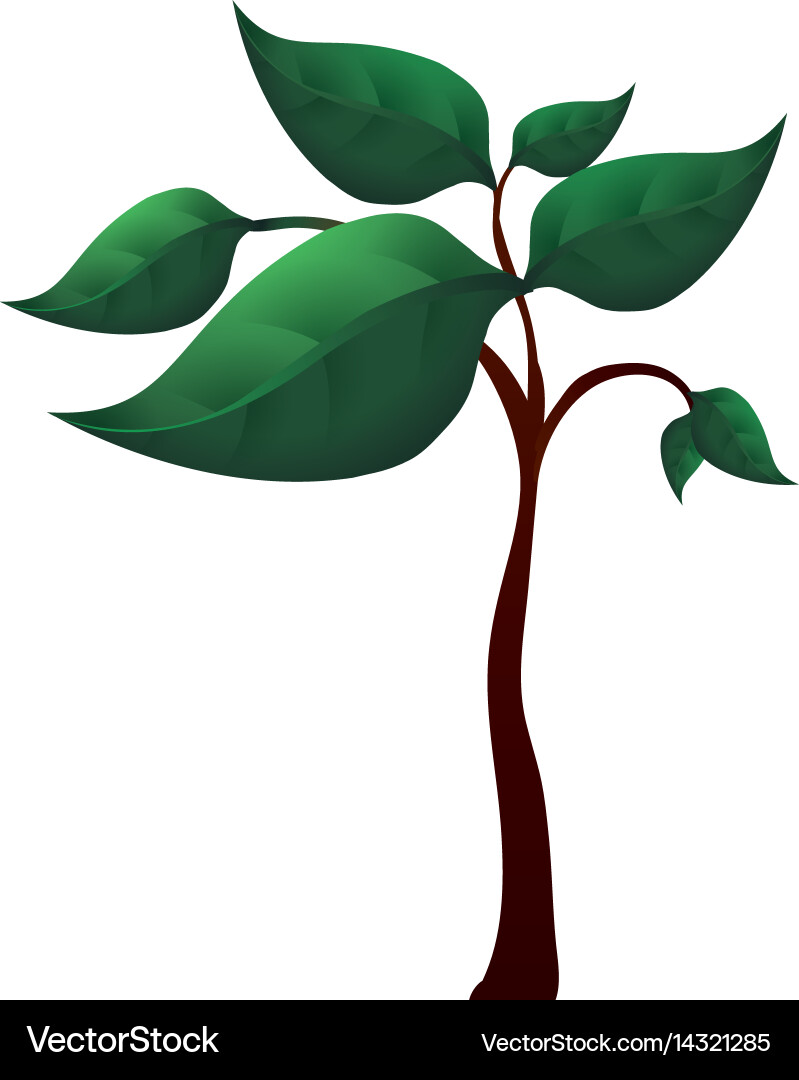Leaves natural ecology Royalty Free Vector Image