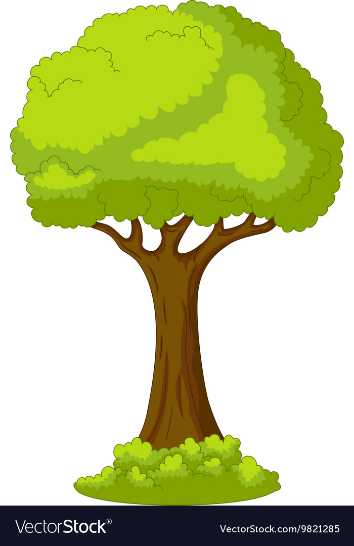 Tree for you design Royalty Free Vector Image - VectorStock