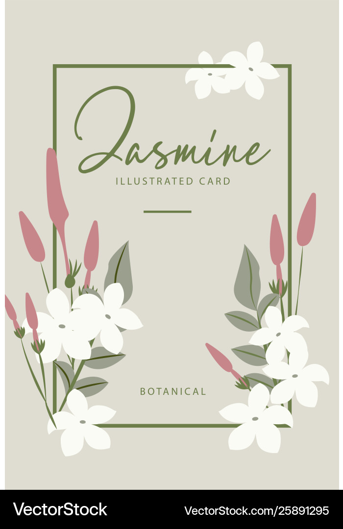 Jasmine flower banners design for tea Royalty Free Vector