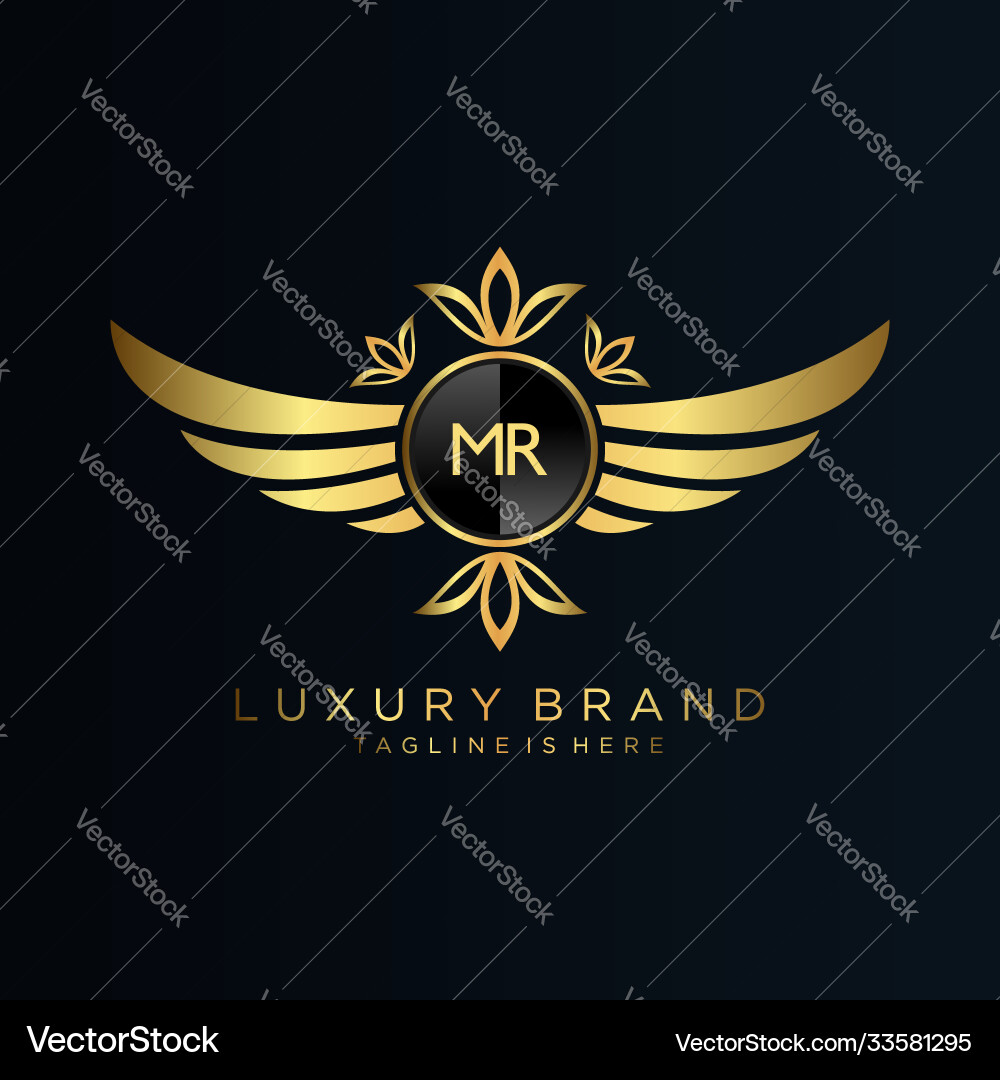 Mr letter initial with royal templateelegant Vector Image