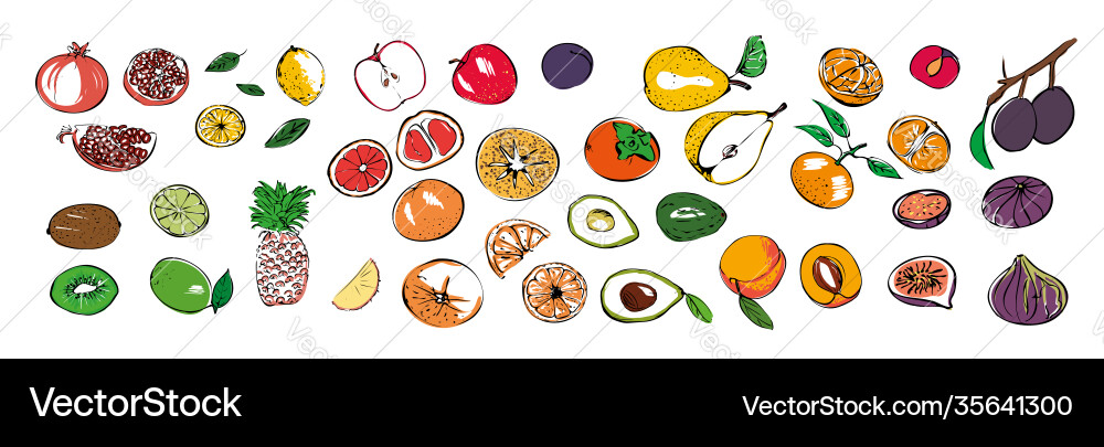 A set different seasonal fruit icons on white Vector Image