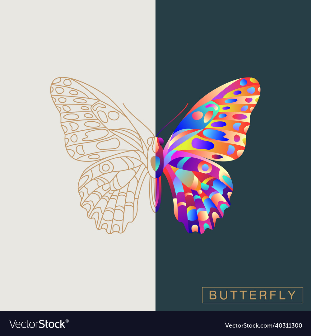 Abstract insects Royalty Free Vector Image - VectorStock