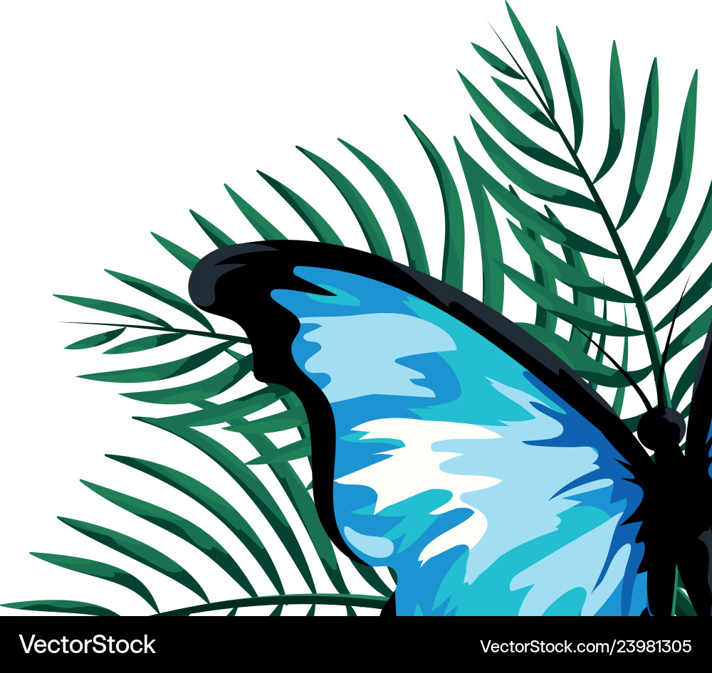 Beautiful butterfly cartoon Royalty Free Vector Image