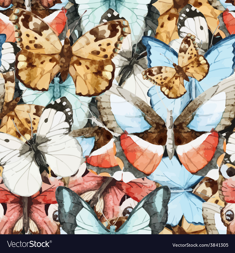 Butterfly pattern Royalty Free Vector Image - VectorStock
