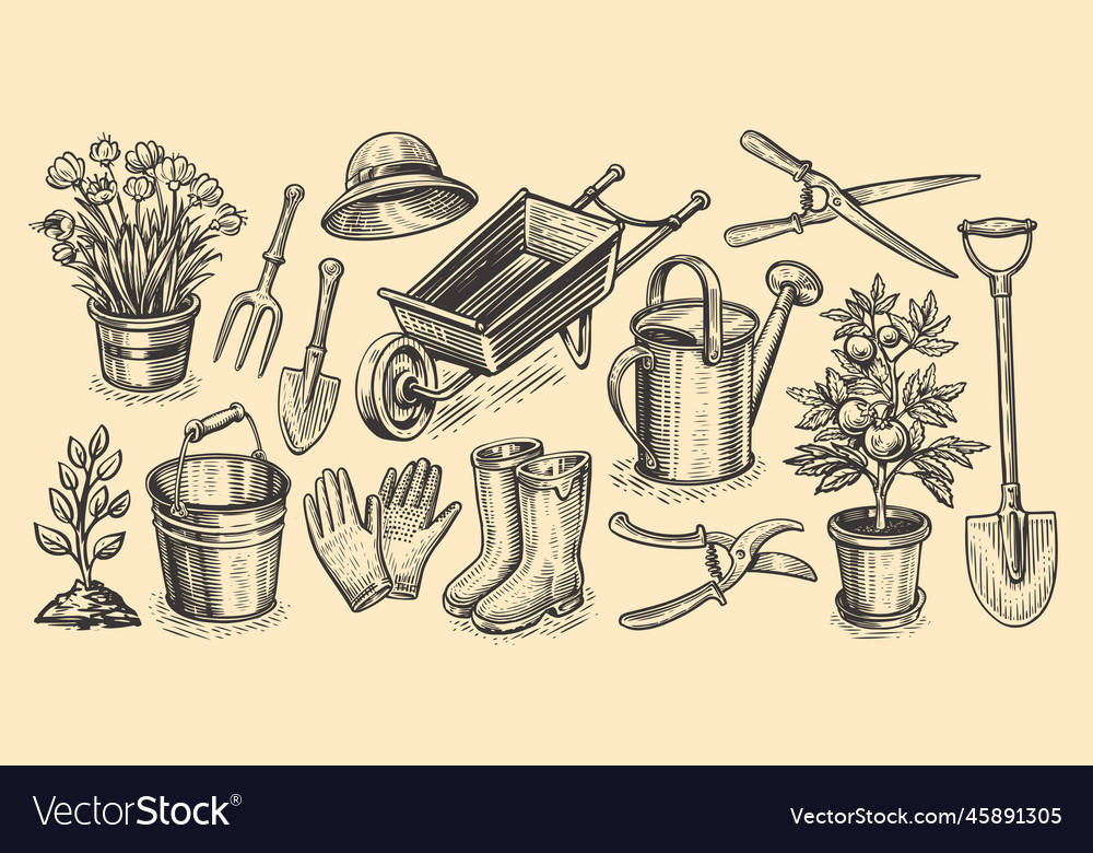 Gardening Set Of Items In Sketch Style Garden Vector Image