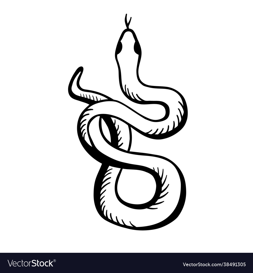 Snake is wrigging black and white Royalty Free Vector Image