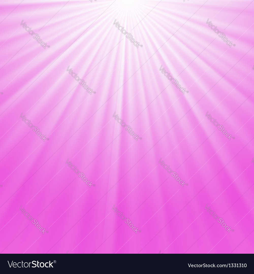 Pink rays background Royalty Free Vector Image