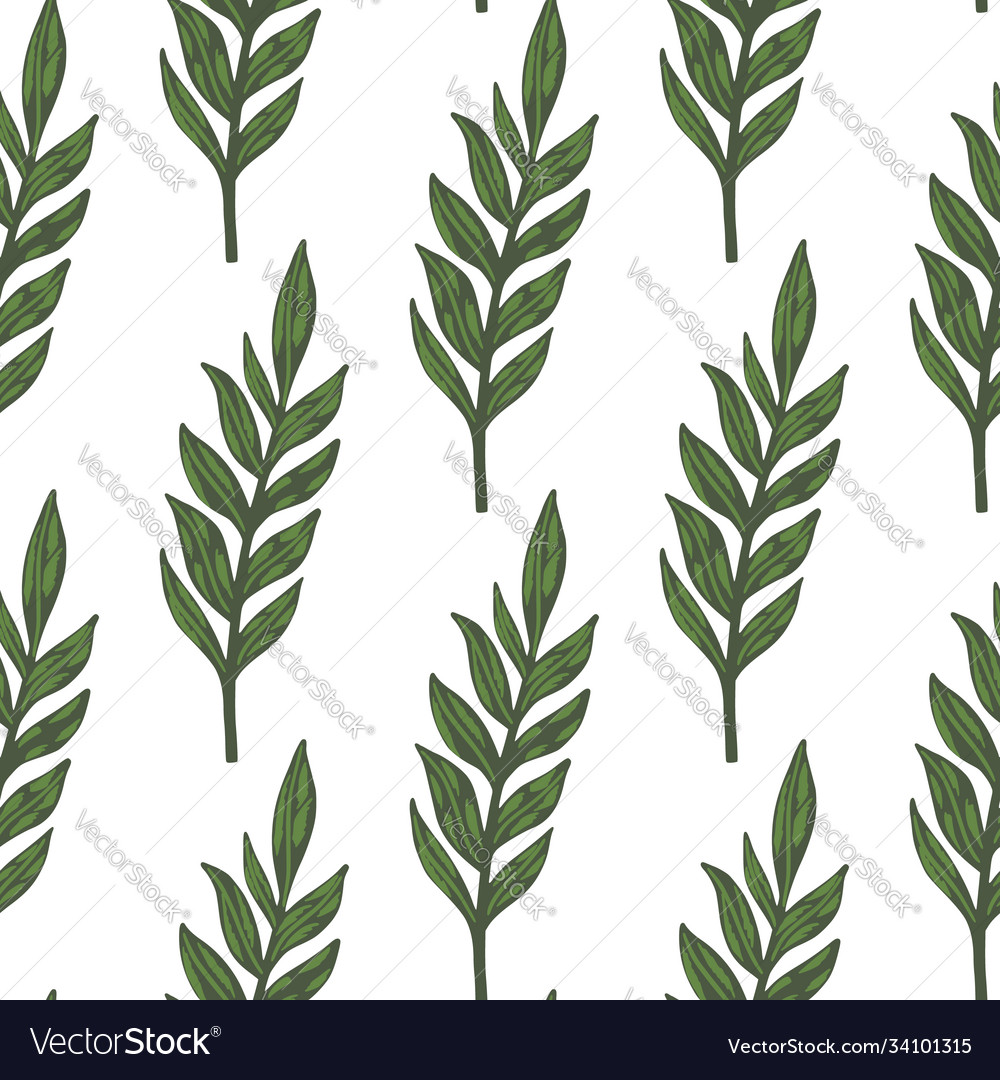 Isolated minimalistic botanic seamless pattern Vector Image