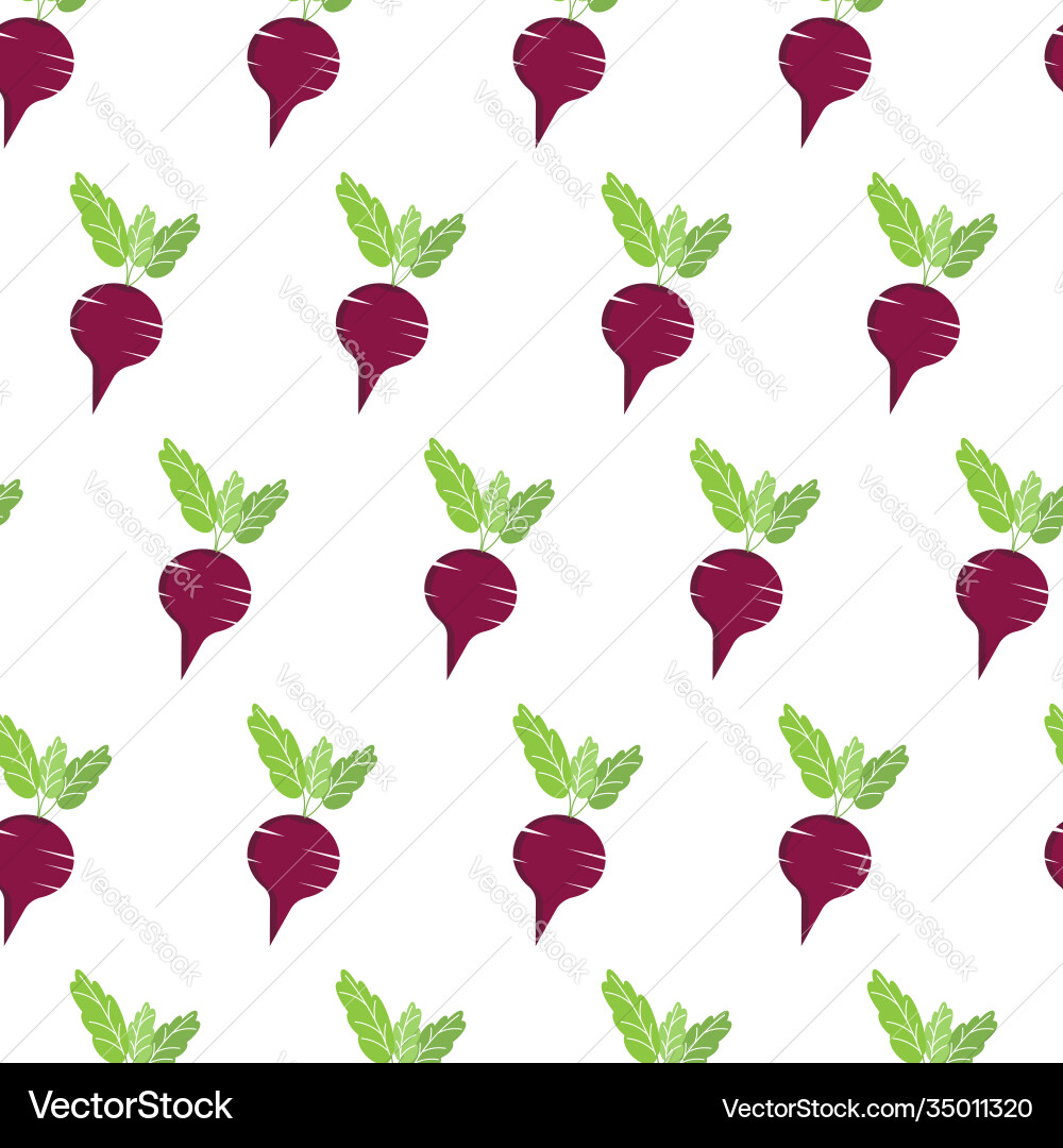 Beetroot pattern simple vegetable drawing Vector Image