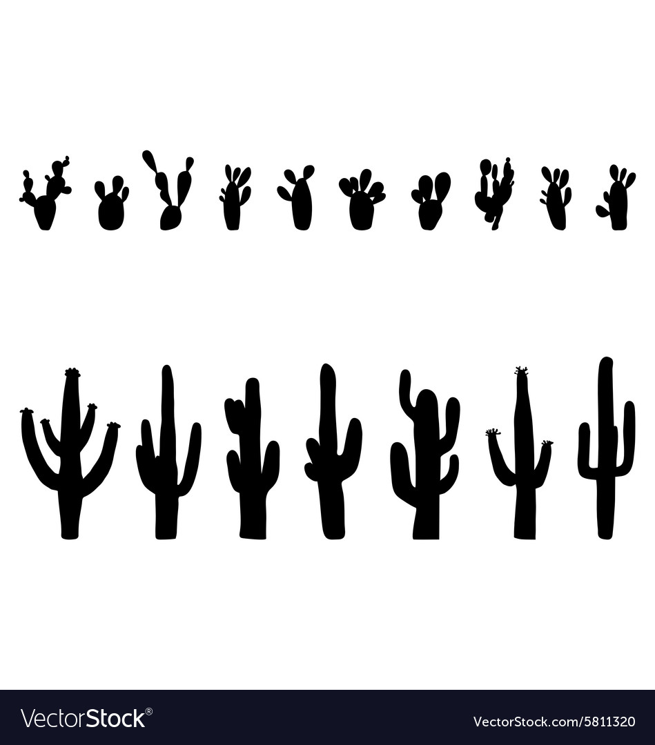 Cactus Royalty Free Vector Image - VectorStock