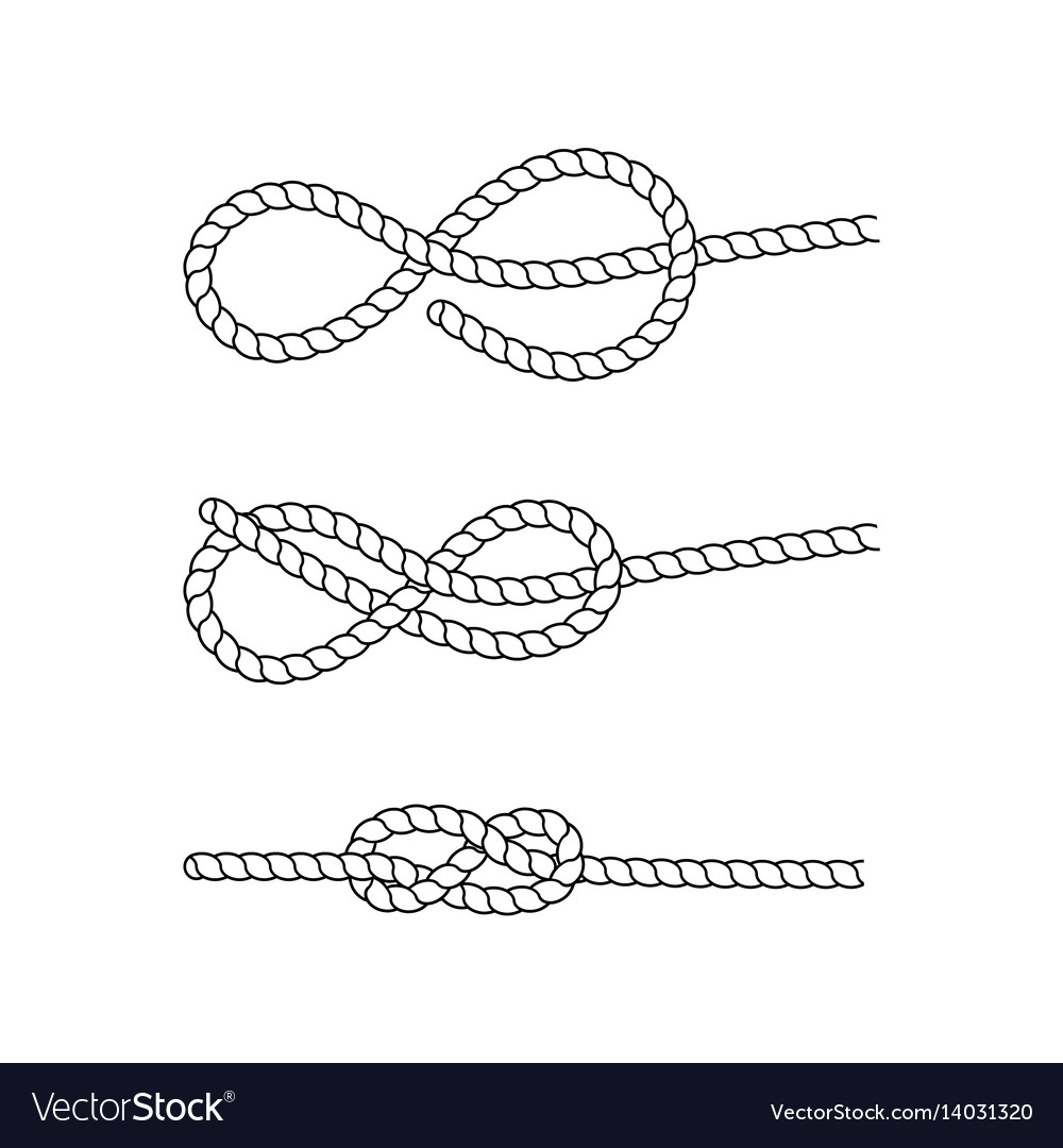 Knot Royalty Free Vector Image - VectorStock