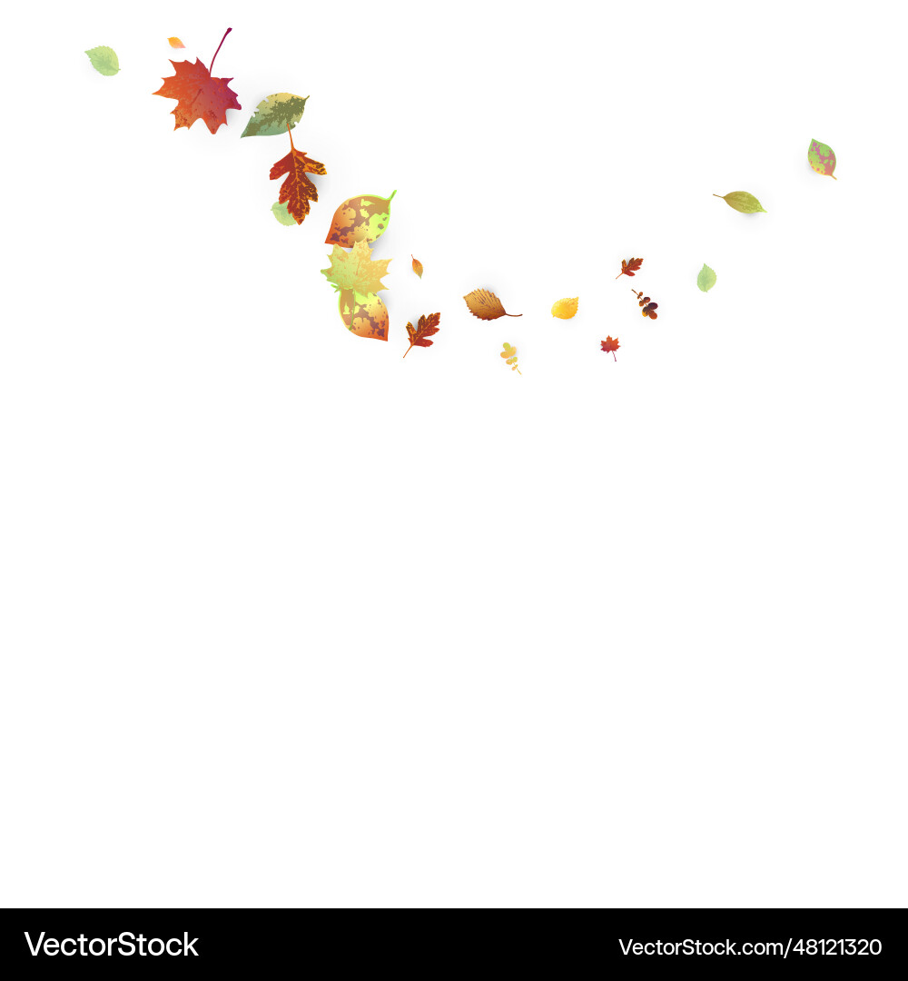 Leaves falling autumn foliage chaotic leaf flying Vector Image