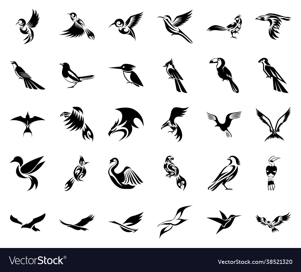 Solid icon set bird Royalty Free Vector Image - VectorStock