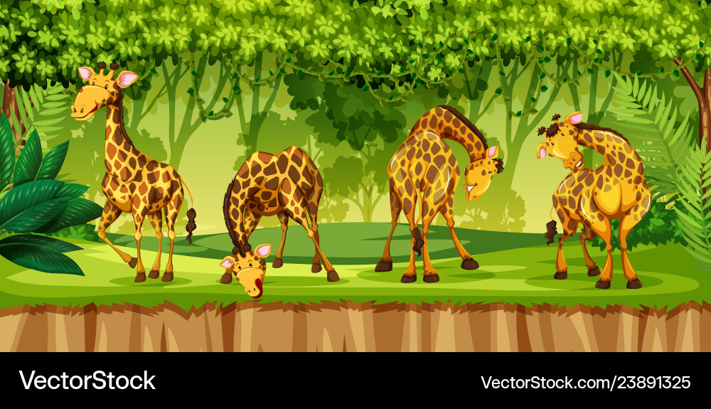 Giraffe in the jungle Royalty Free Vector Image