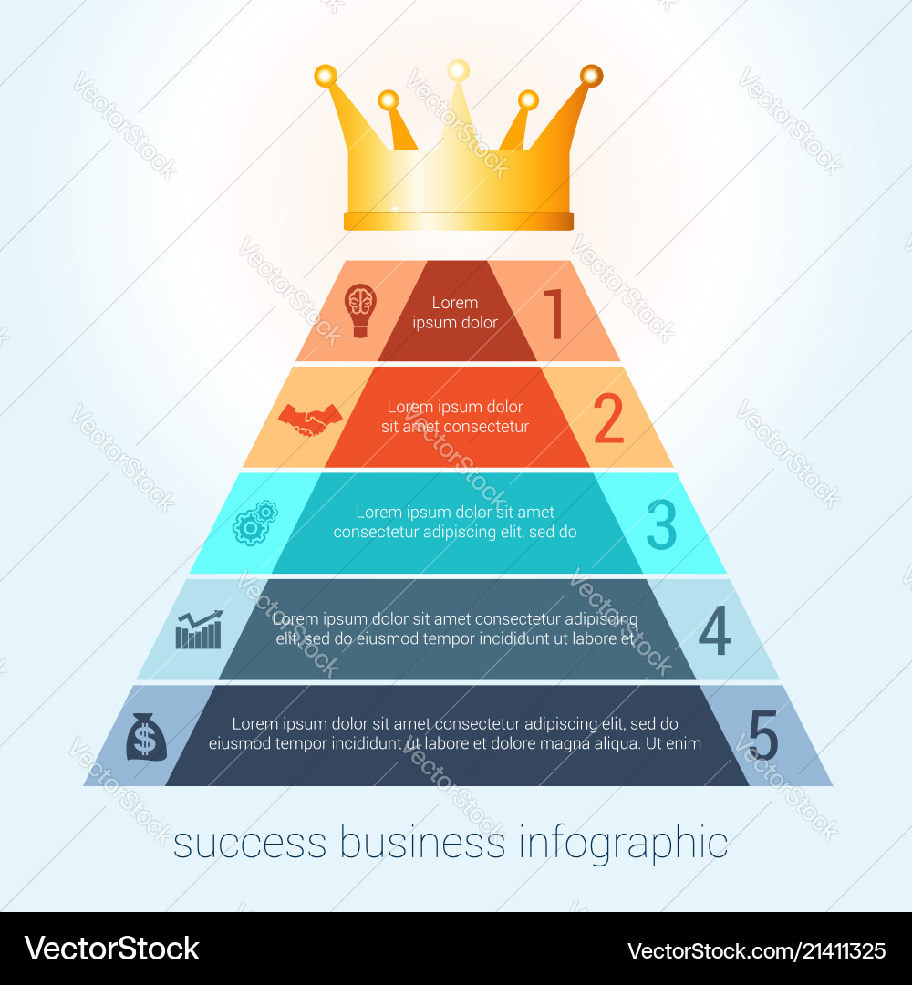 Infographic success business modern template Vector Image