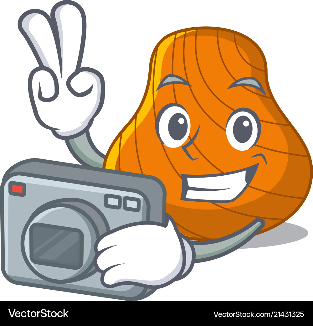 Photographer hard shell mascot cartoon Royalty Free Vector