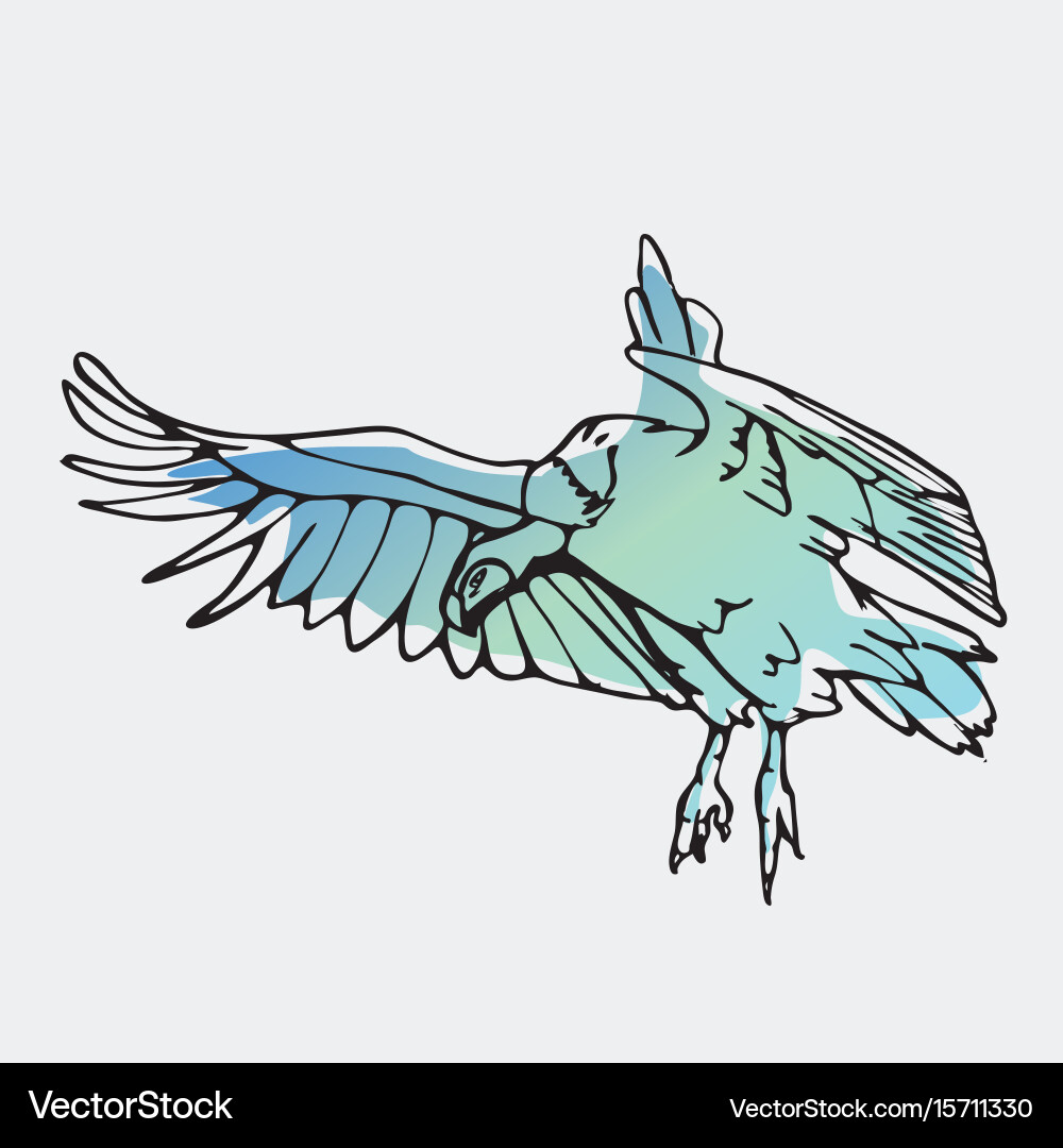 Hand-drawn graphics bird predator of prey Vector Image