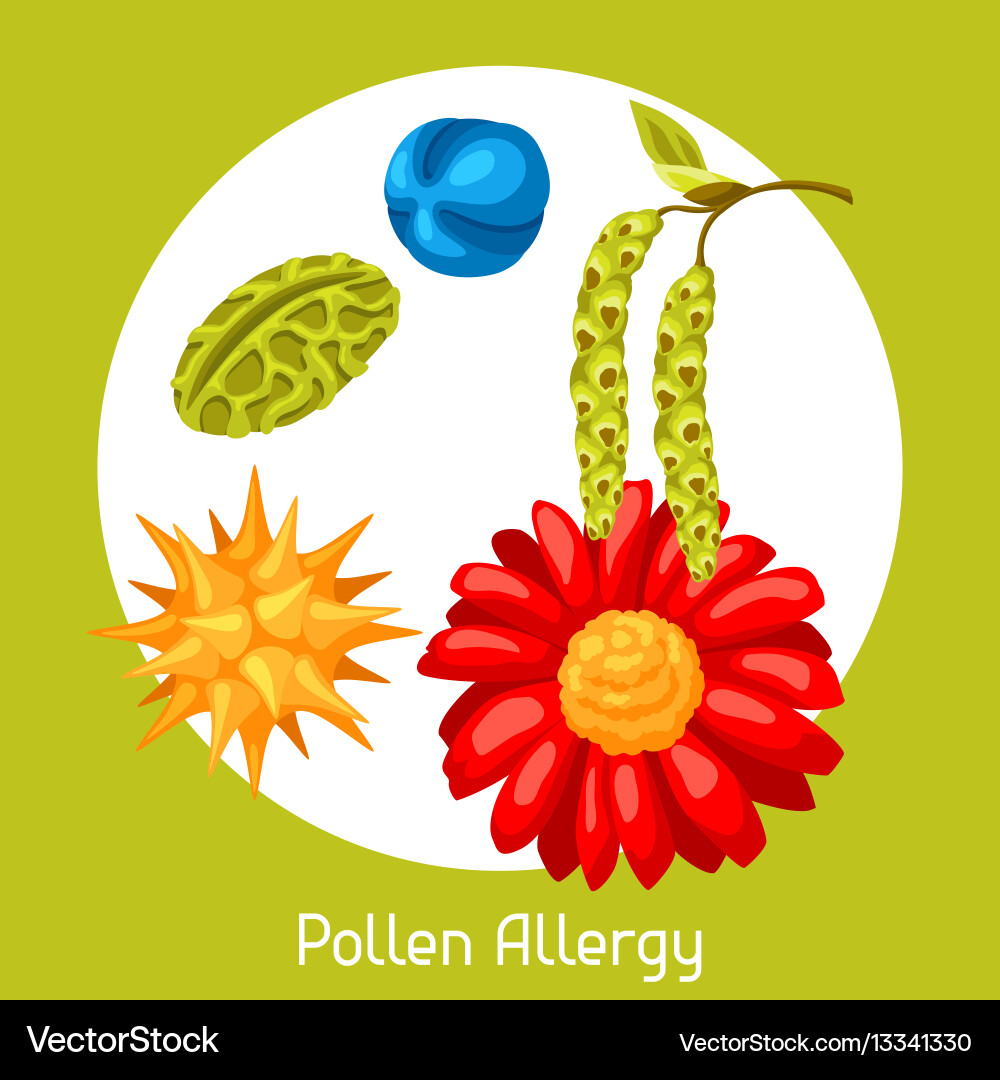 Pollen allergy for medical Royalty Free Vector Image