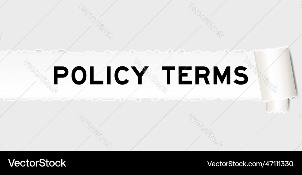 Ripped gray paper background that have word Vector Image