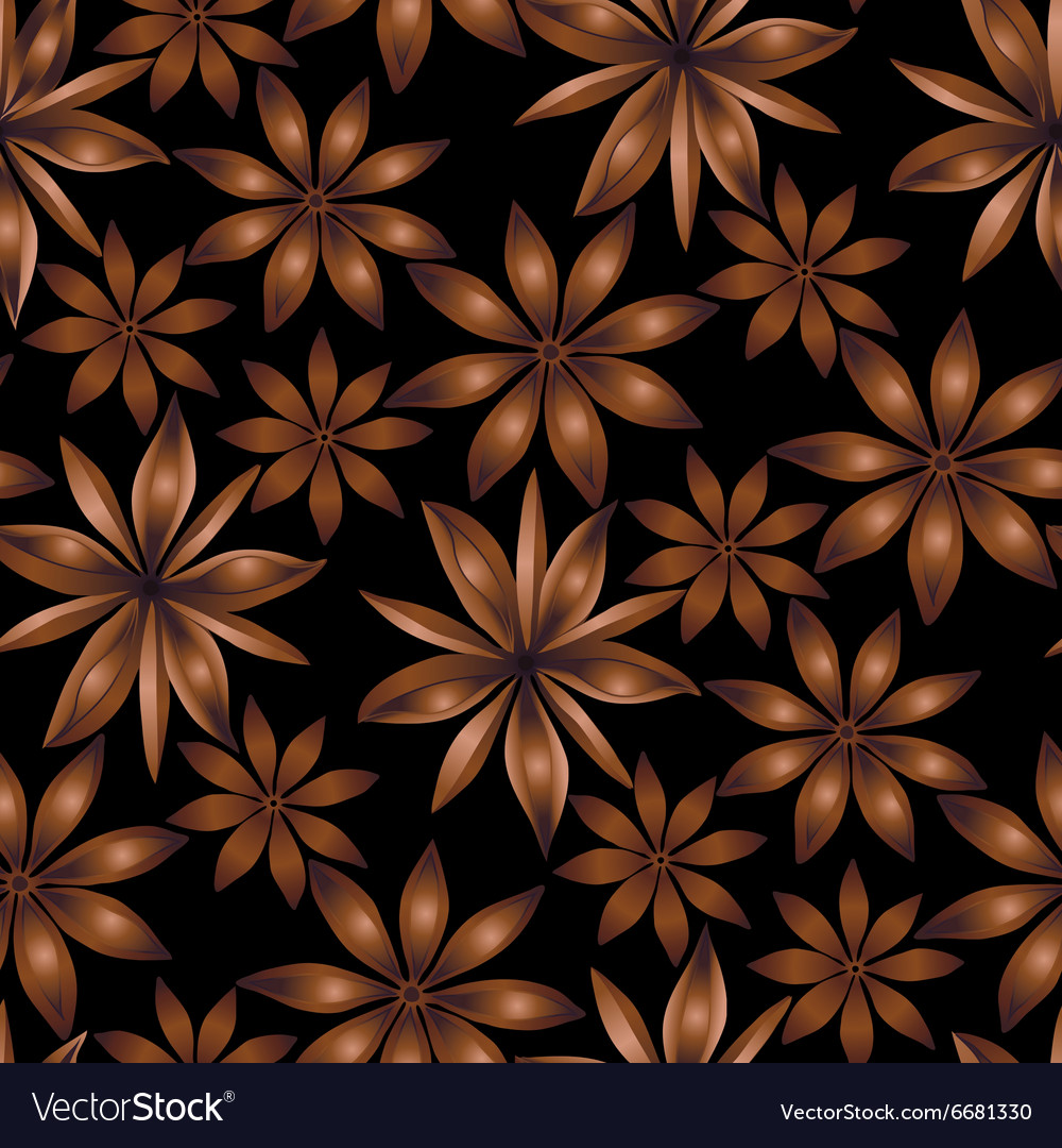 Seamless cardamom pattern Royalty Free Vector Image