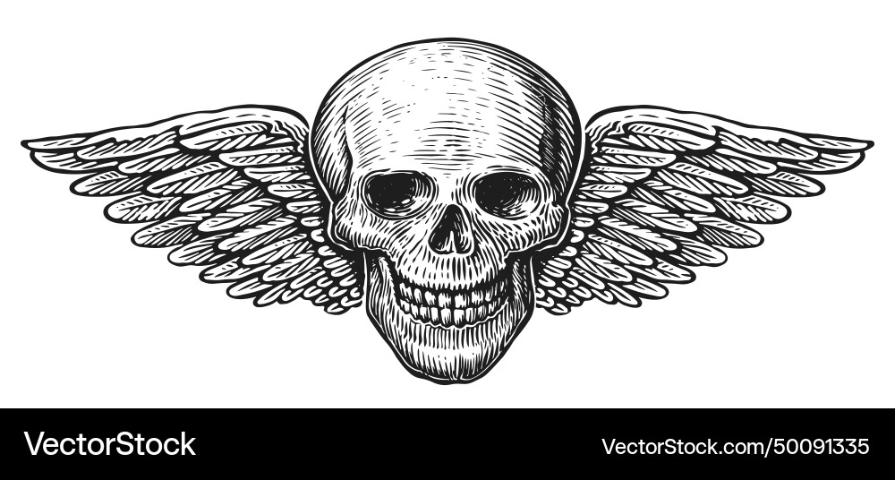 Human skull with wings hand drawn winged skeleton Vector Image