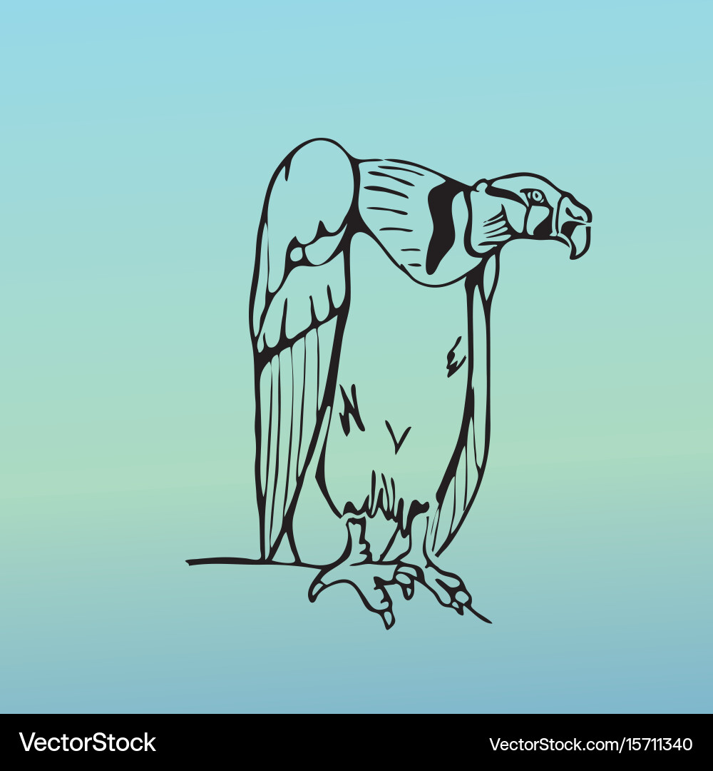 Hand-drawn graphics bird predator of prey Vector Image
