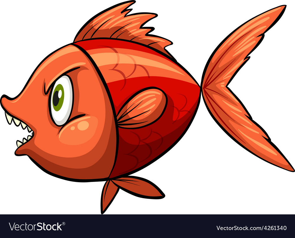 Red fish Royalty Free Vector Image - VectorStock