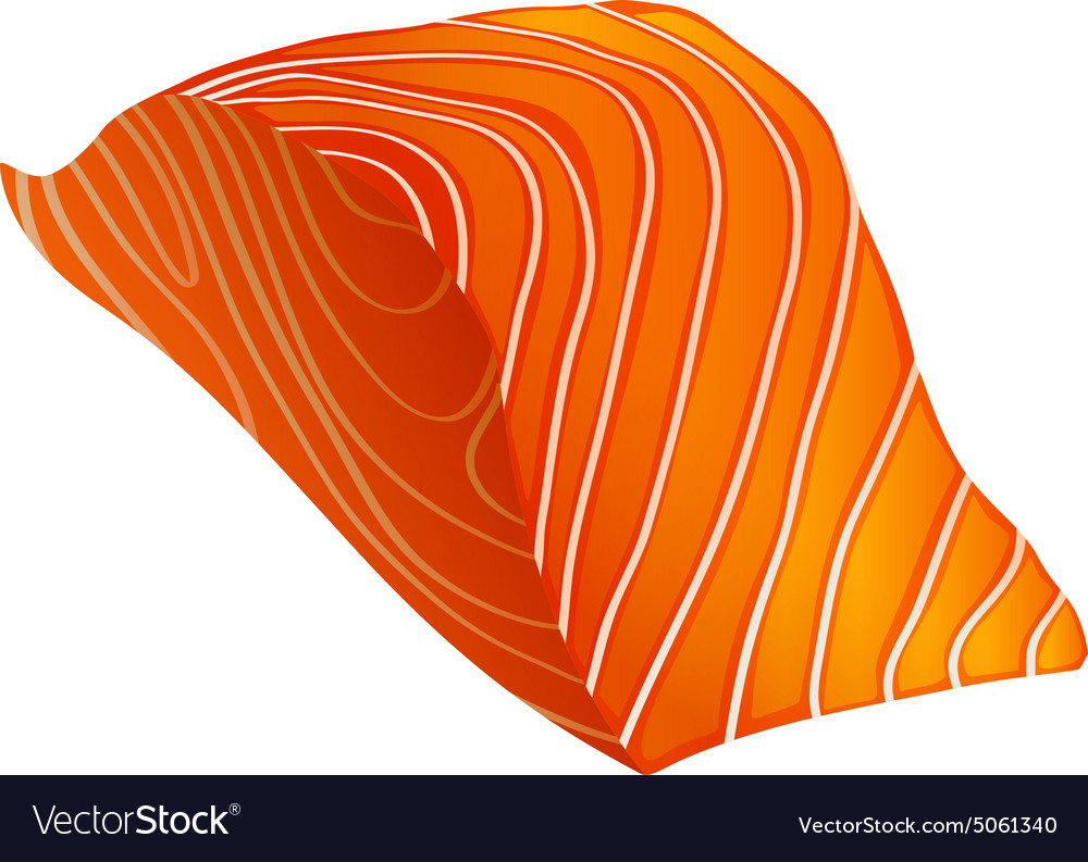 Salmon Royalty Free Vector Image - VectorStock