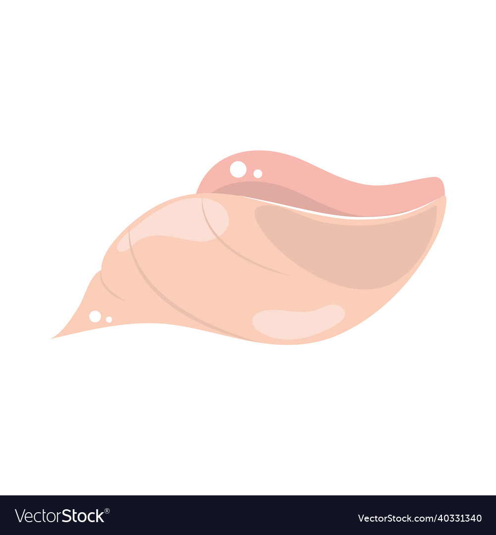 Shell icon Royalty Free Vector Image - VectorStock