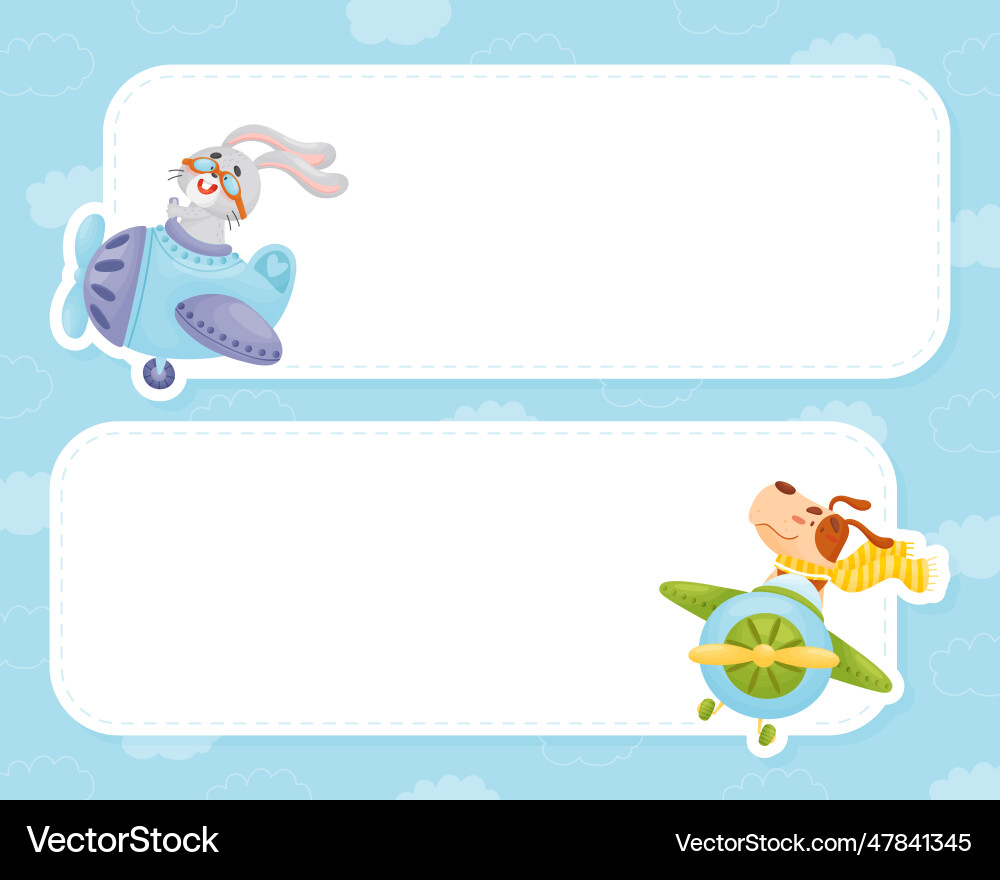 Cute animal on plane flying in the air empty frame