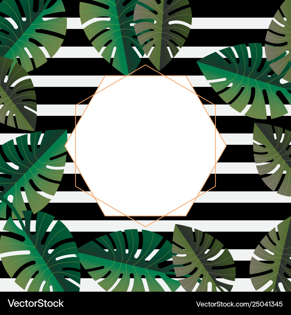 Label template stripes leaves tropical summer Vector Image