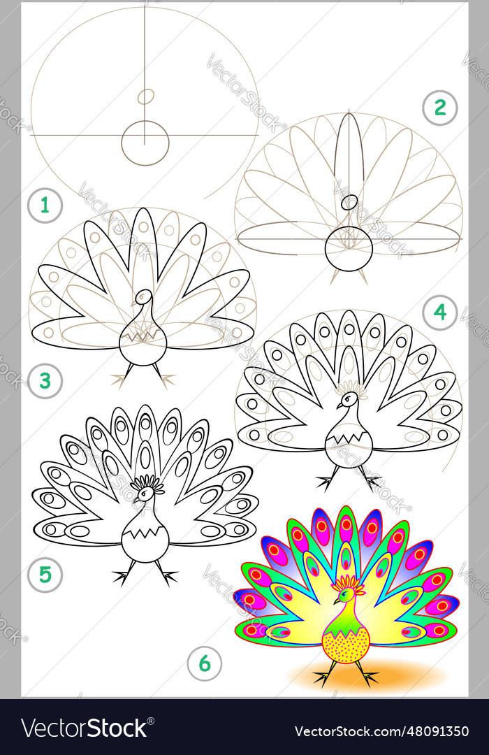 Page shows how to learn step by step to draw Vector Image